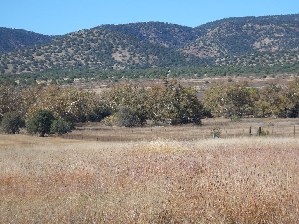 Anchor Ranch – New Mexico Land Conservancy