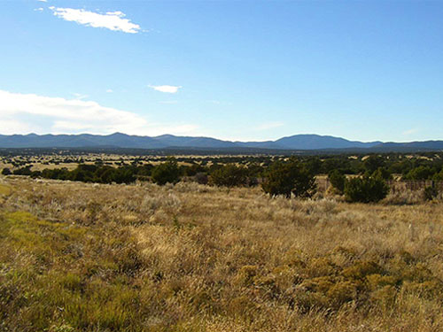 Cougar Mountain Ranch – New Mexico Land Conservancy