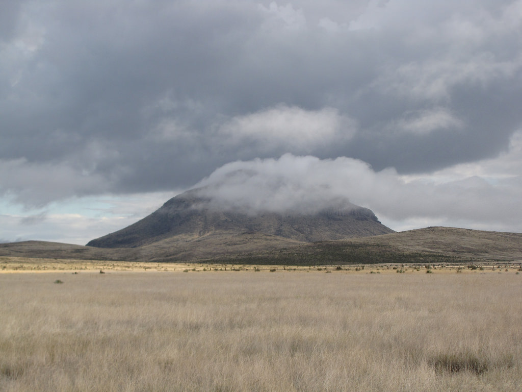 Diamond Cross Ranch – New Mexico Land Conservancy