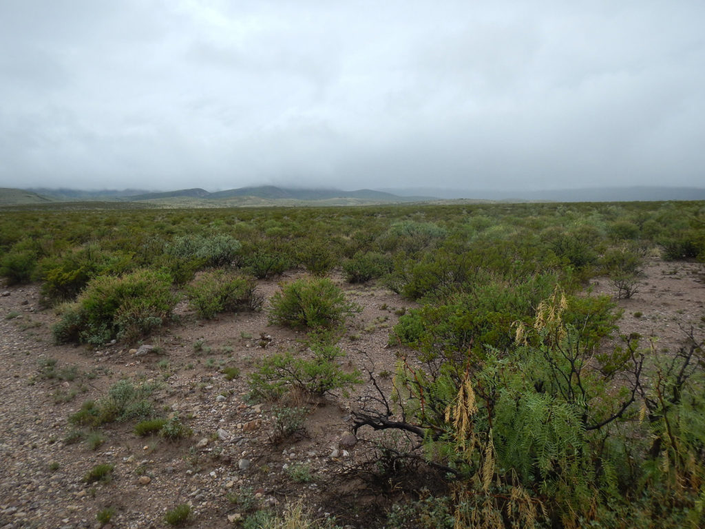 Mayfield Ranch – New Mexico Land Conservancy