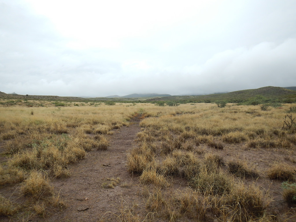 Mayfield Ranch – New Mexico Land Conservancy