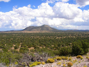 Montosa Ranch – New Mexico Land Conservancy