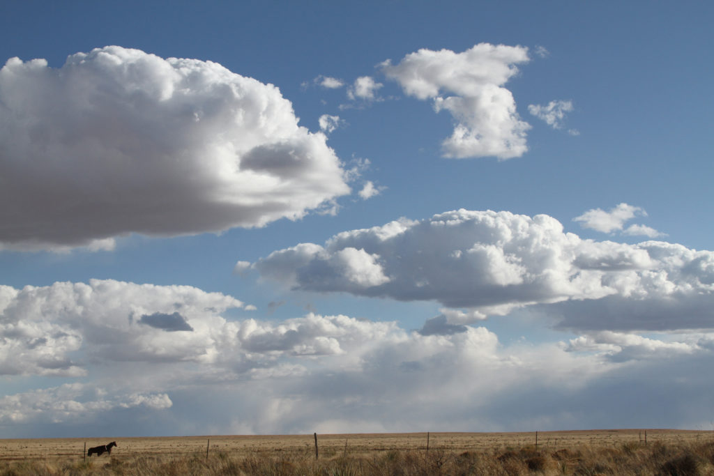 Davis Spear Ranch – New Mexico Land Conservancy