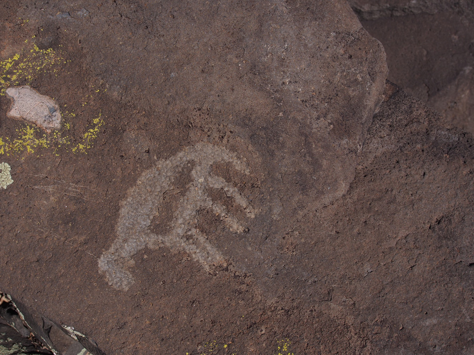 CS Ranch – New Mexico Land Conservancy