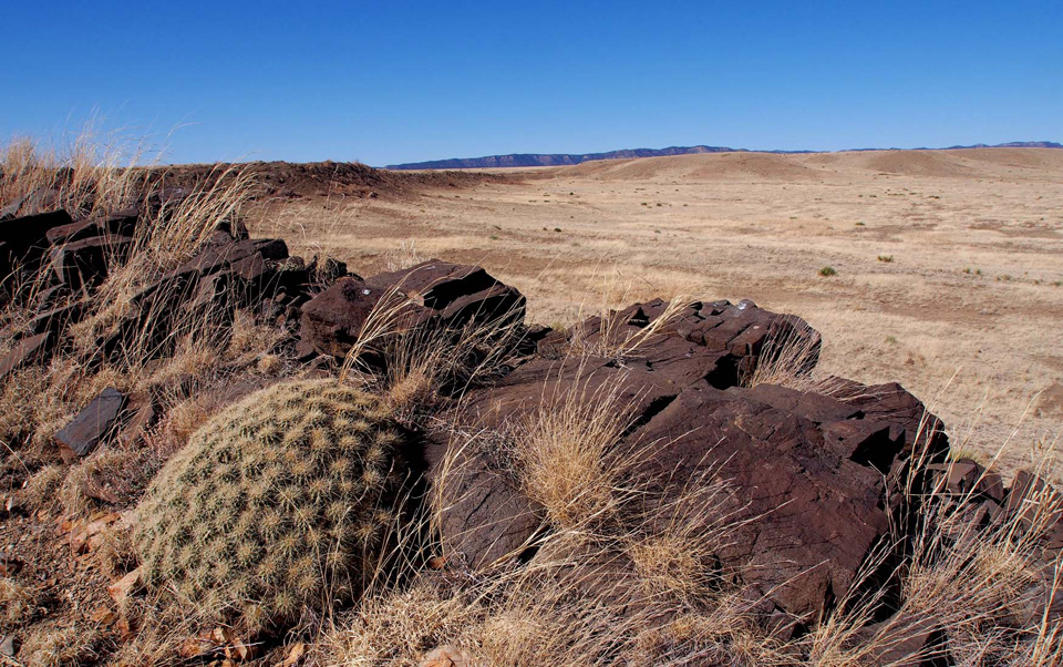 CS Ranch – New Mexico Land Conservancy