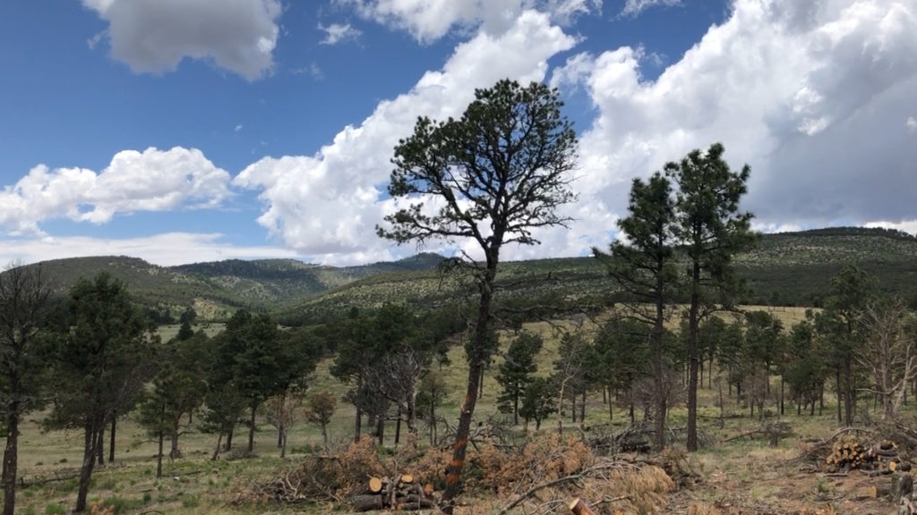 Goodloes: Ranching for the Watershed on the Carrizo Ranch – New Mexico ...