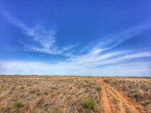 Lost Draw Conservation Bank – New Mexico Land Conservancy