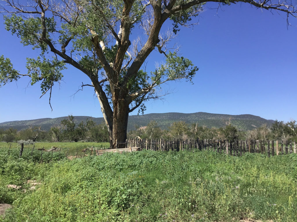 Anchor Ranch – New Mexico Land Conservancy