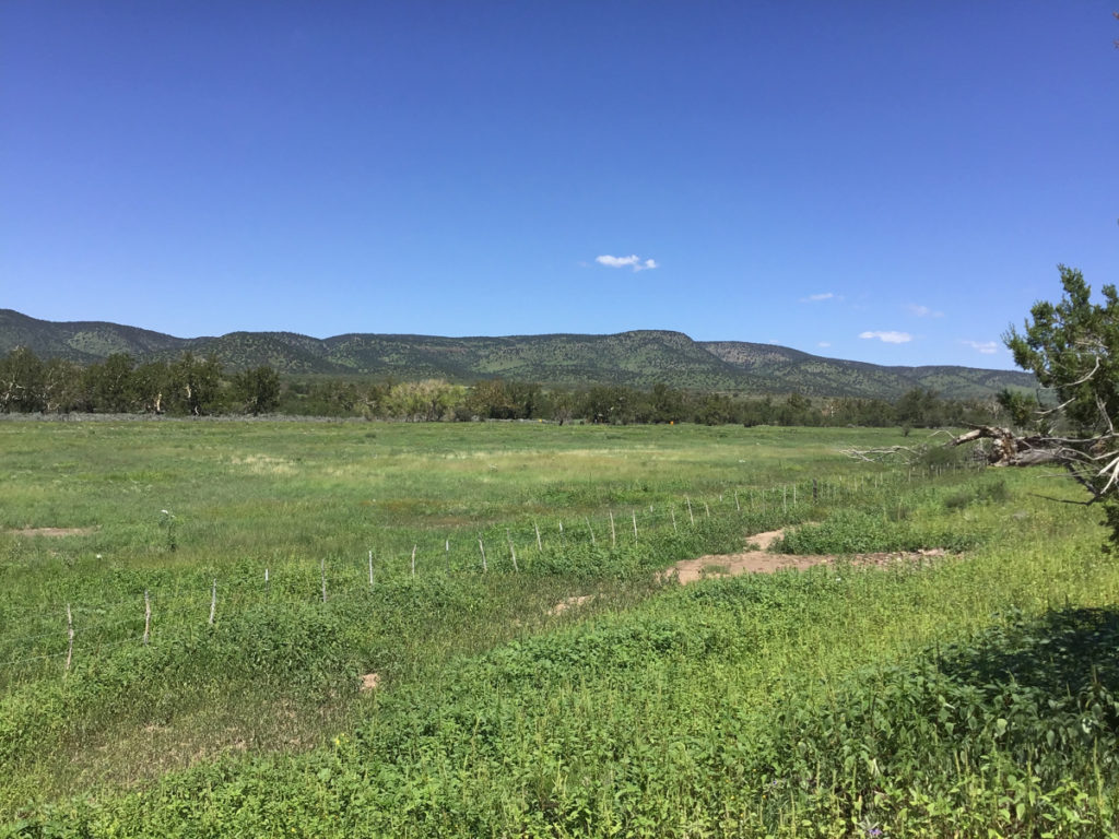 Anchor Ranch – New Mexico Land Conservancy