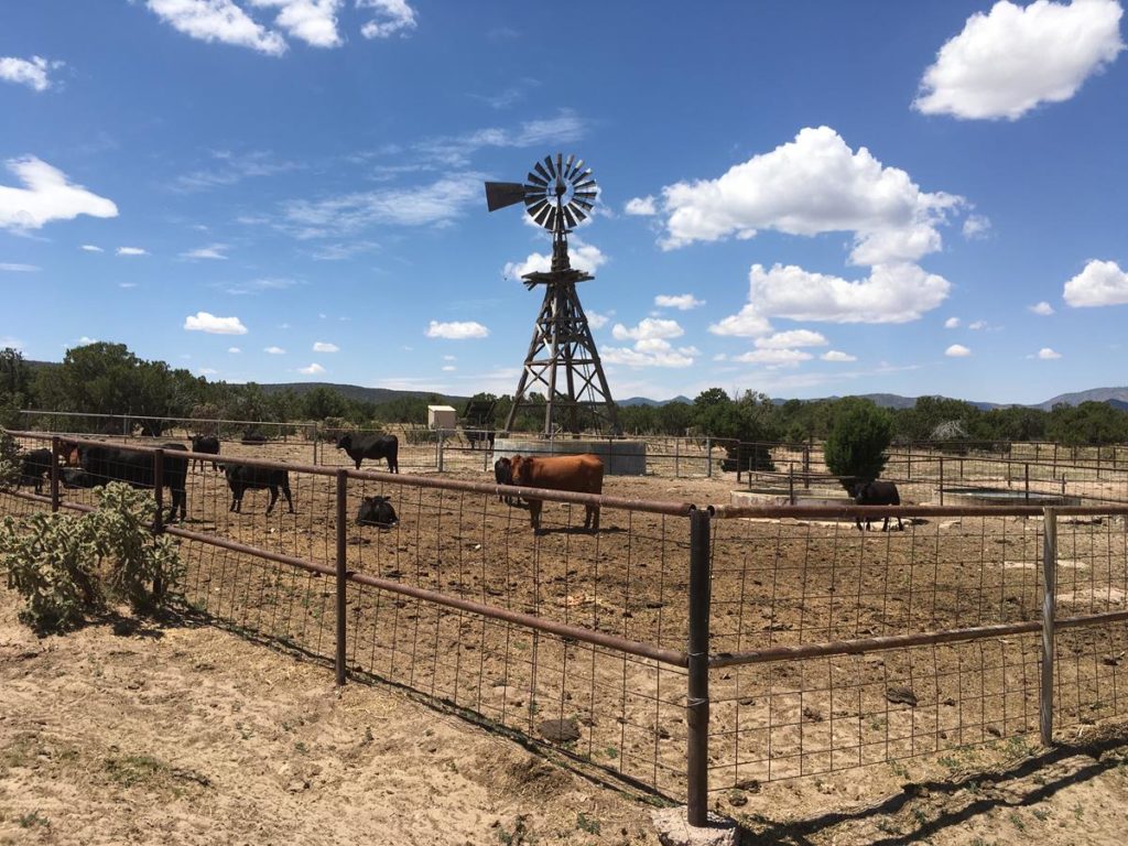 Cougar Mountain Ranch – New Mexico Land Conservancy