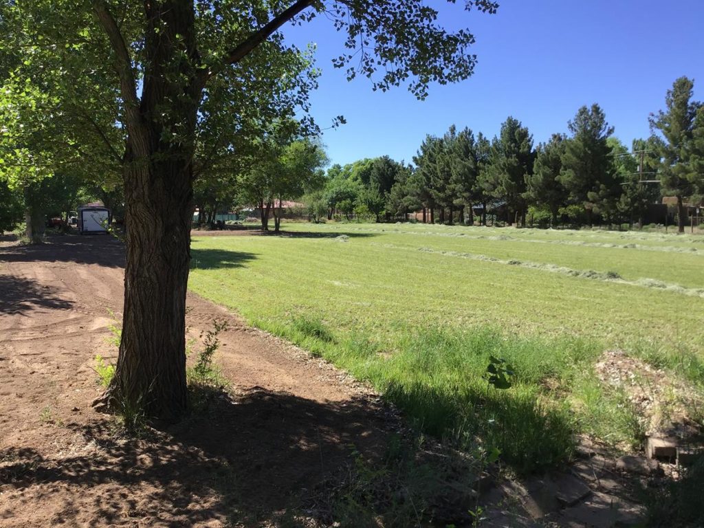 Kendall Property – New Mexico Land Conservancy