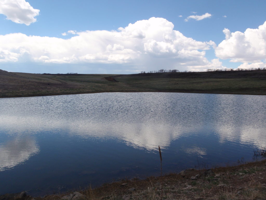 Mesa Ranch – New Mexico Land Conservancy