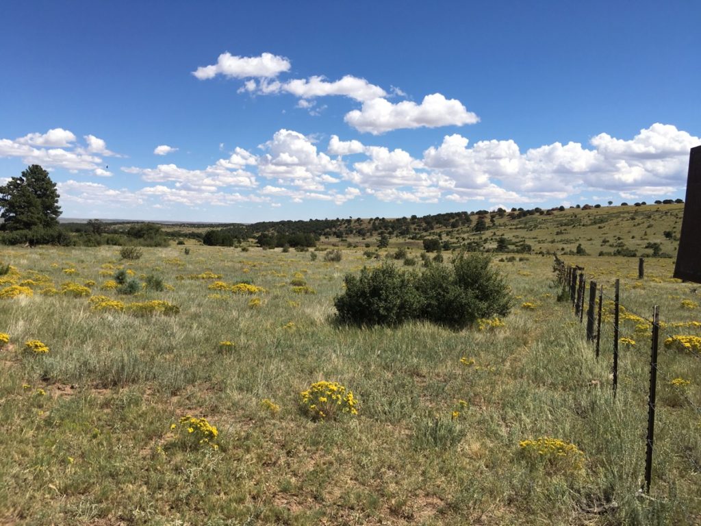 Tucson Valley Ranch – New Mexico Land Conservancy