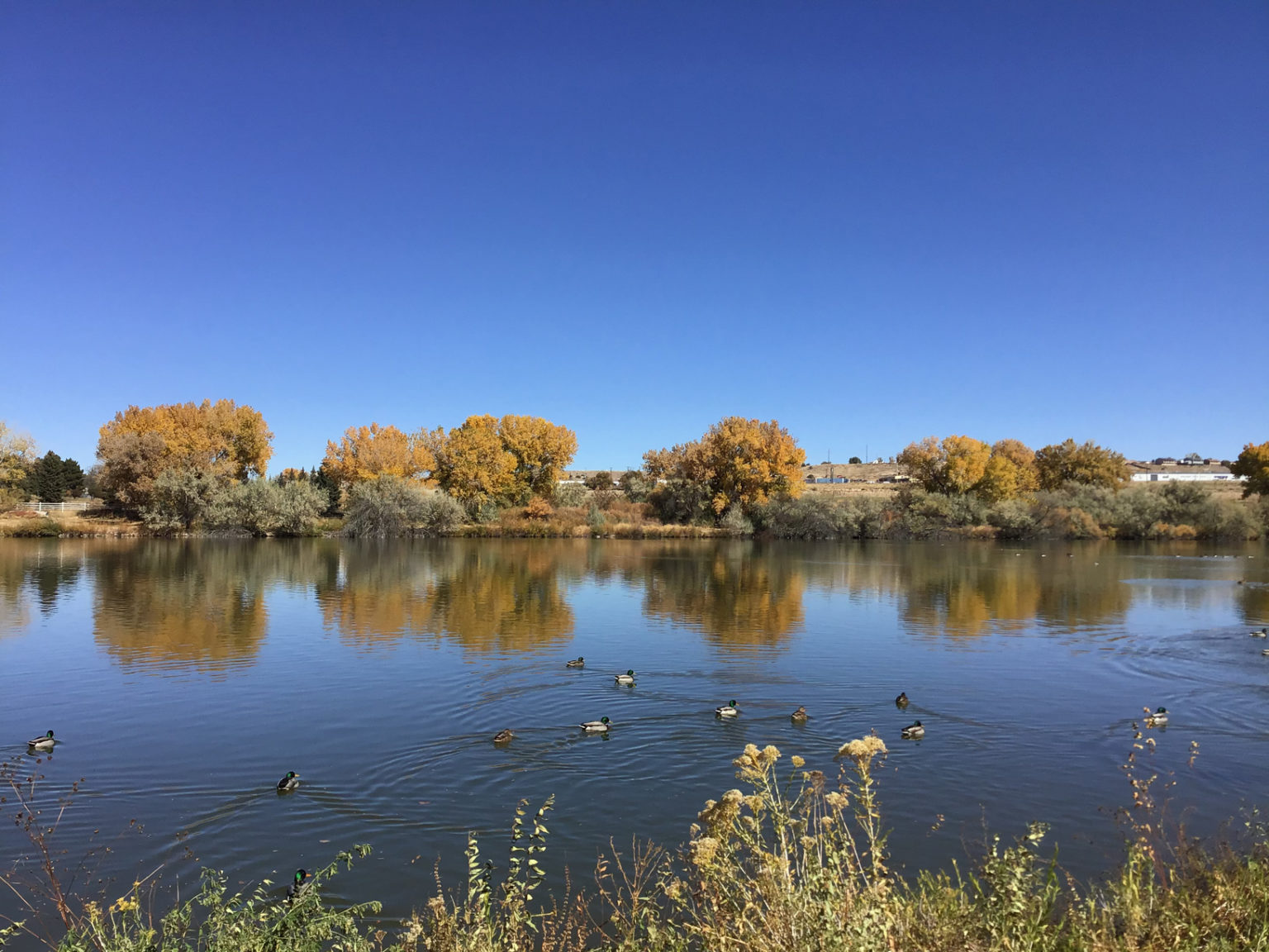 B Square Ranch – New Mexico Land Conservancy