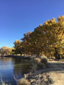 B Square Ranch – New Mexico Land Conservancy