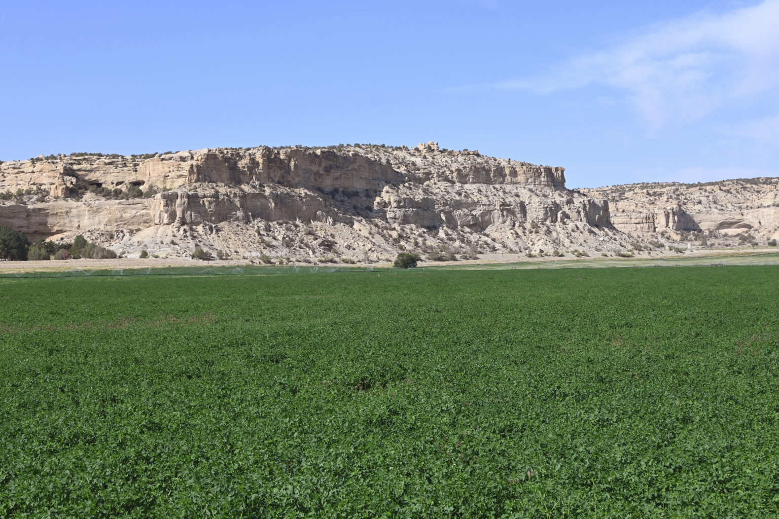 B Square Ranch – New Mexico Land Conservancy