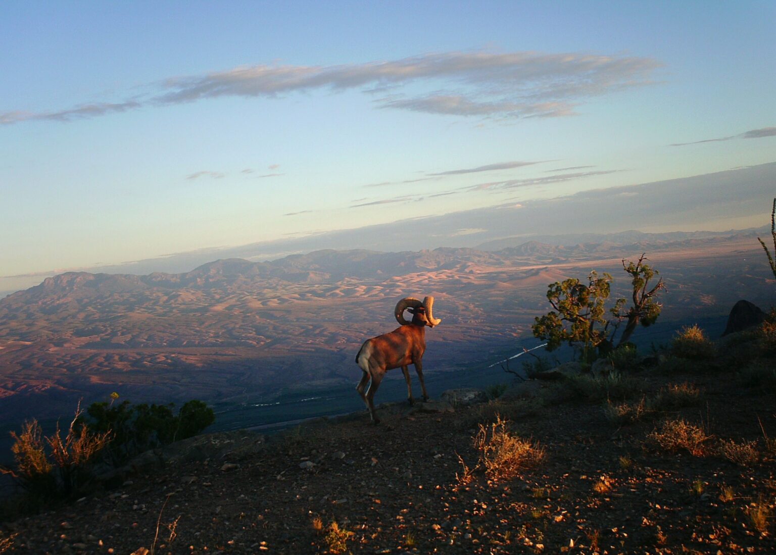 Armendaris Ranch – New Mexico Land Conservancy